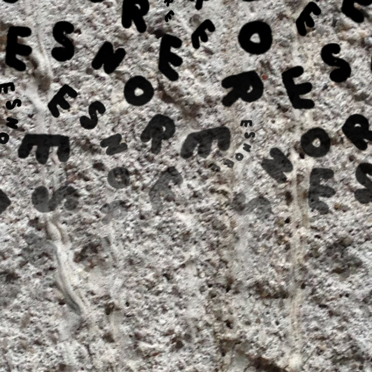 Esnore Interview Curated by Grog